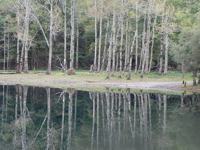Toyoni Lake — Japan's Heart-Shaped Lake