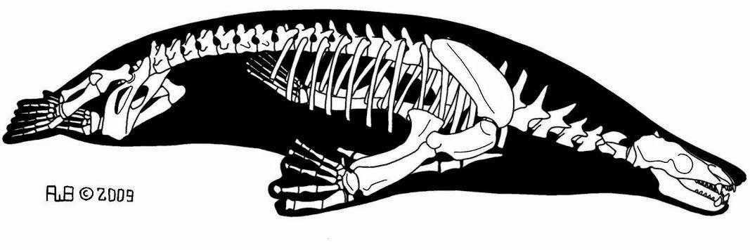 The Coastal Paleontologist, atlantic edition: May 2014