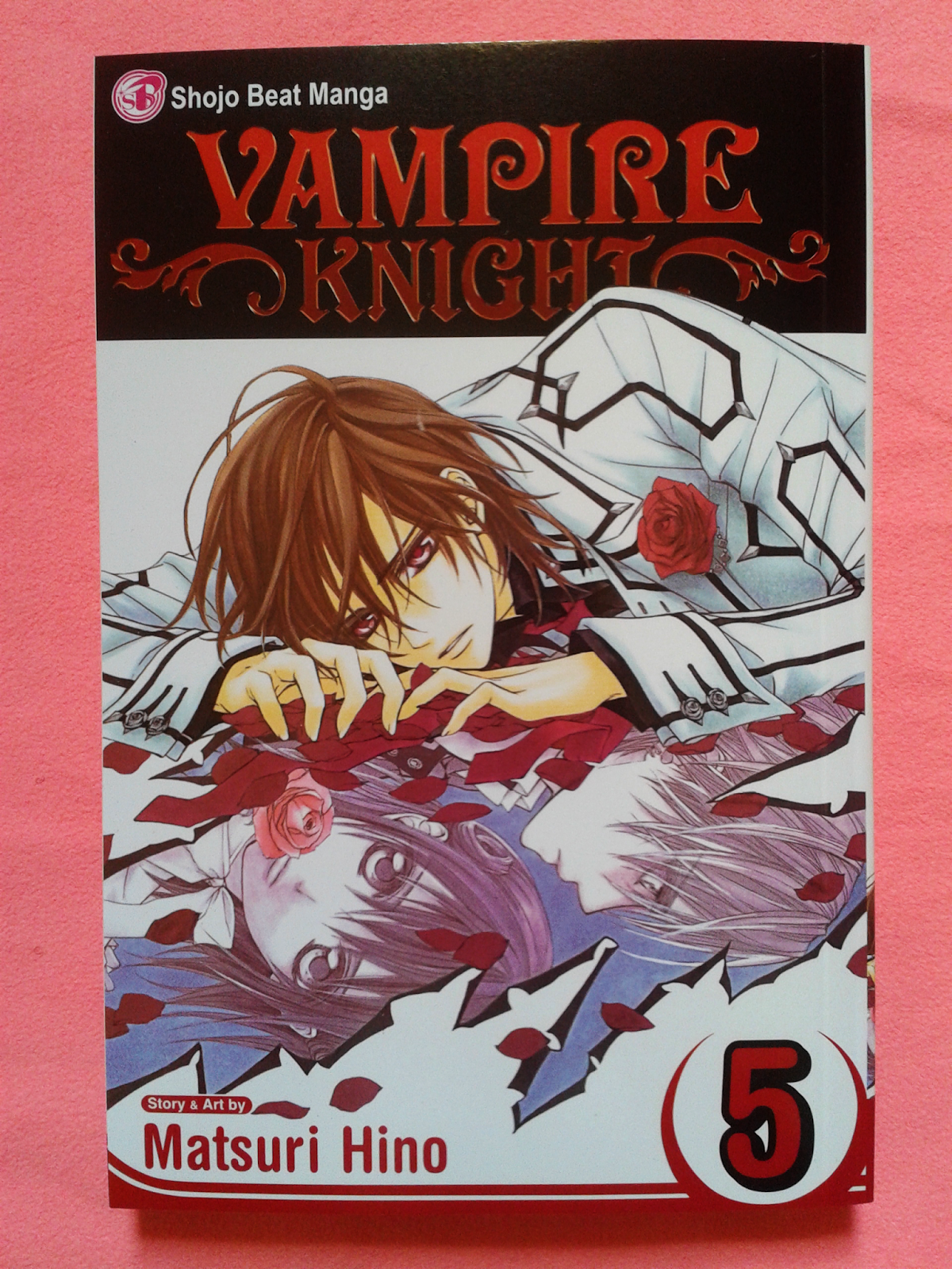 Não é minha culpa que não sou popular!: Resenha - Vampire Knight Box Set