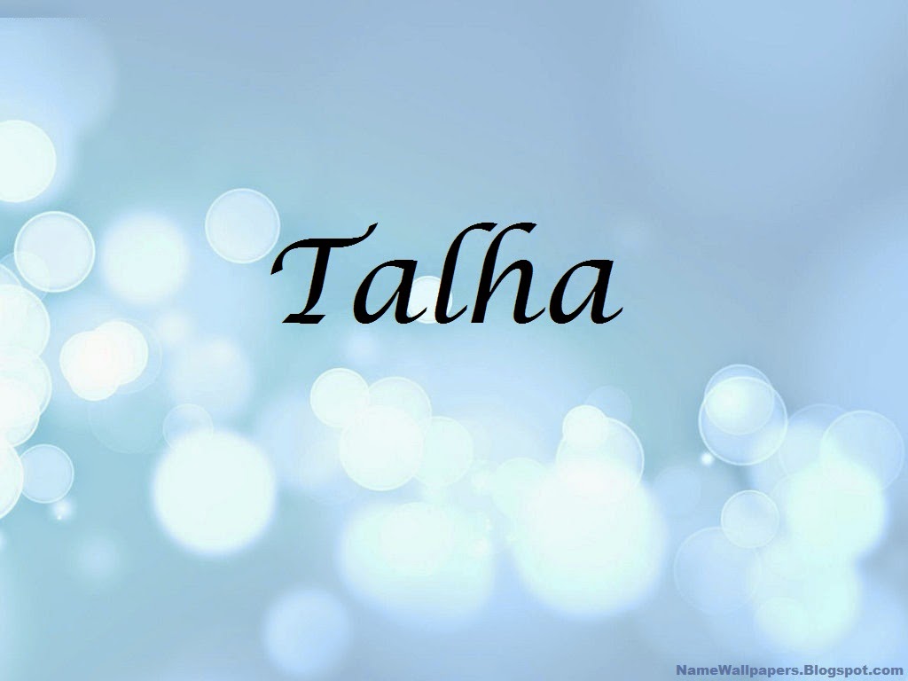 Talha Name Wallpapers Talha ~ Name Wallpaper Urdu Name Meaning Name ...