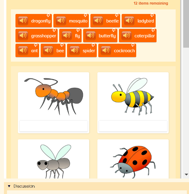 ENGLISH SCHOOL CORNER: BUGS VOCABULARY