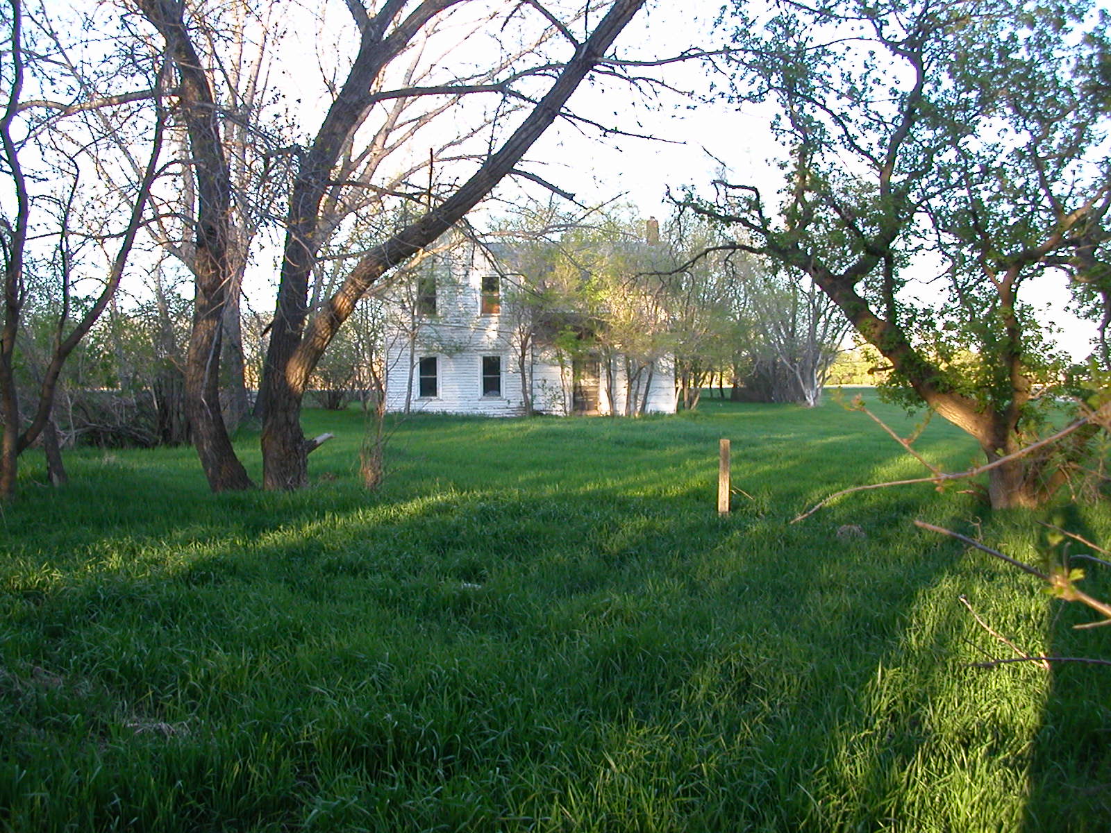 Feral Farm: First Blog! Farm History - Present