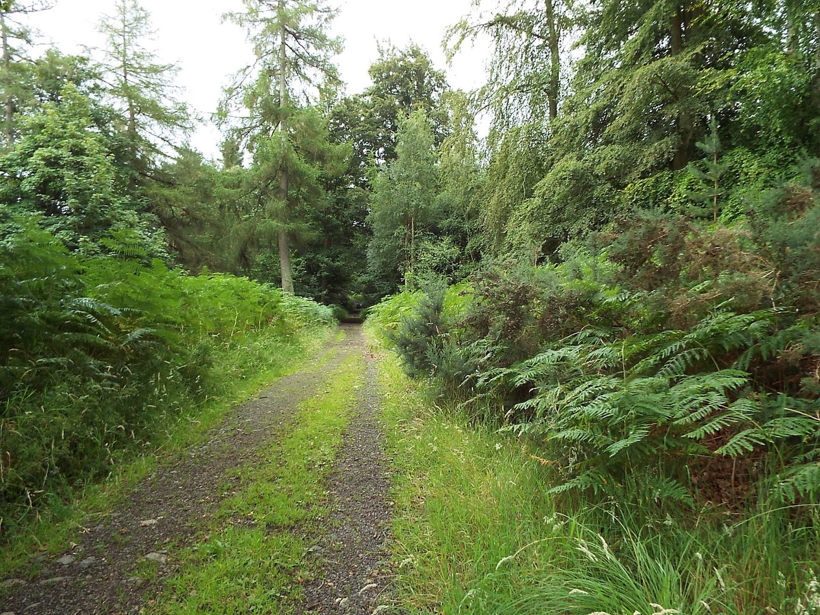 Reinterred: Jedburgh to Harestanes Walk