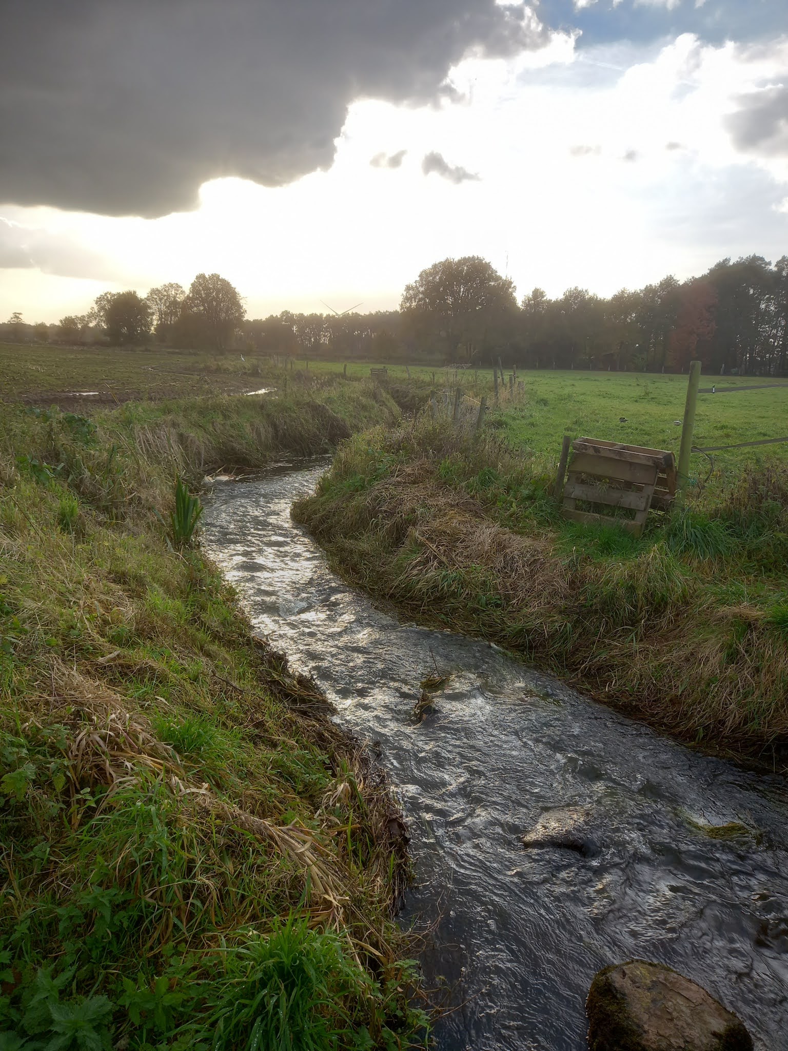 Walking Jeff: wandeling 2980 Zoersel: 14 km.