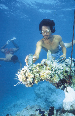 Sarah Lemer, PhD: Demographic consequences of Pleistocene climate ...