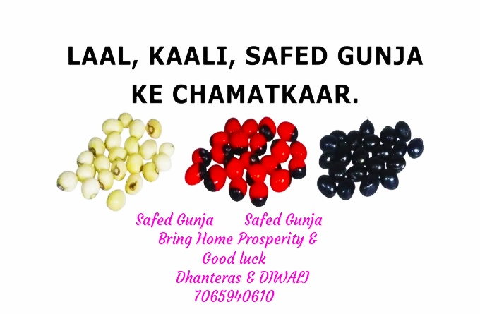 Rosary Pea Safed Gunja is Costliest Seed 7065940610