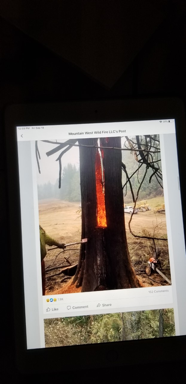 Vern's Stories: Some Pictures of Trees on Fire From the Inside