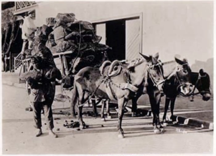 Caminantes del Desierto: EL CASO DE MACHUCA