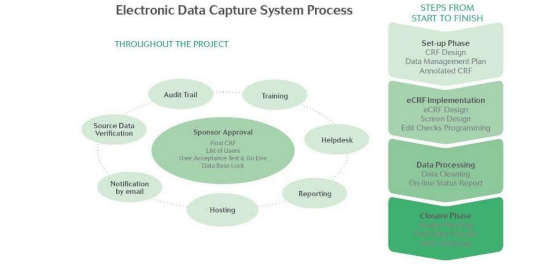 CRF Development From Protocol