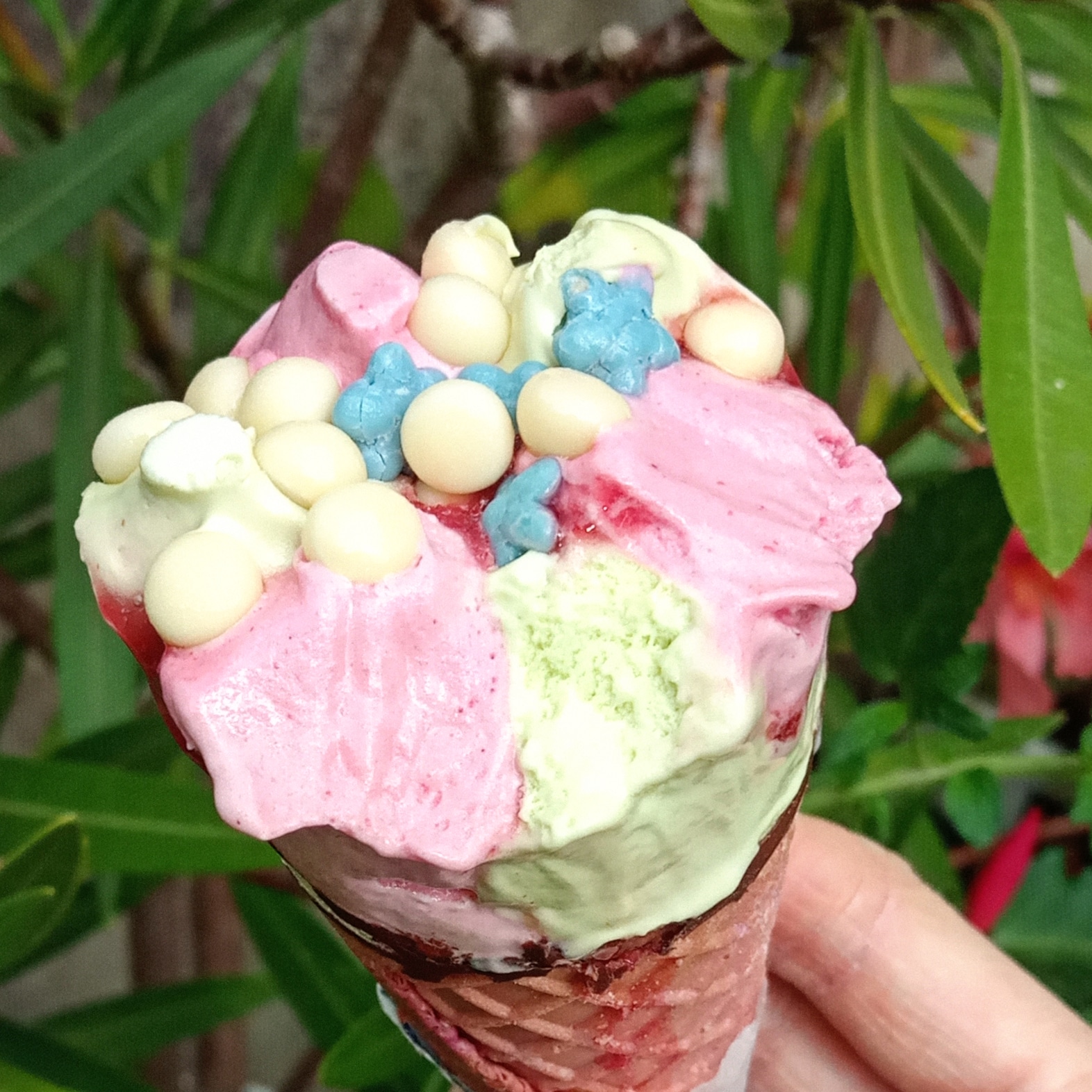 Supersupergirl's Food Reviews: [Review] Cornetto Mermaid Raspberry ...