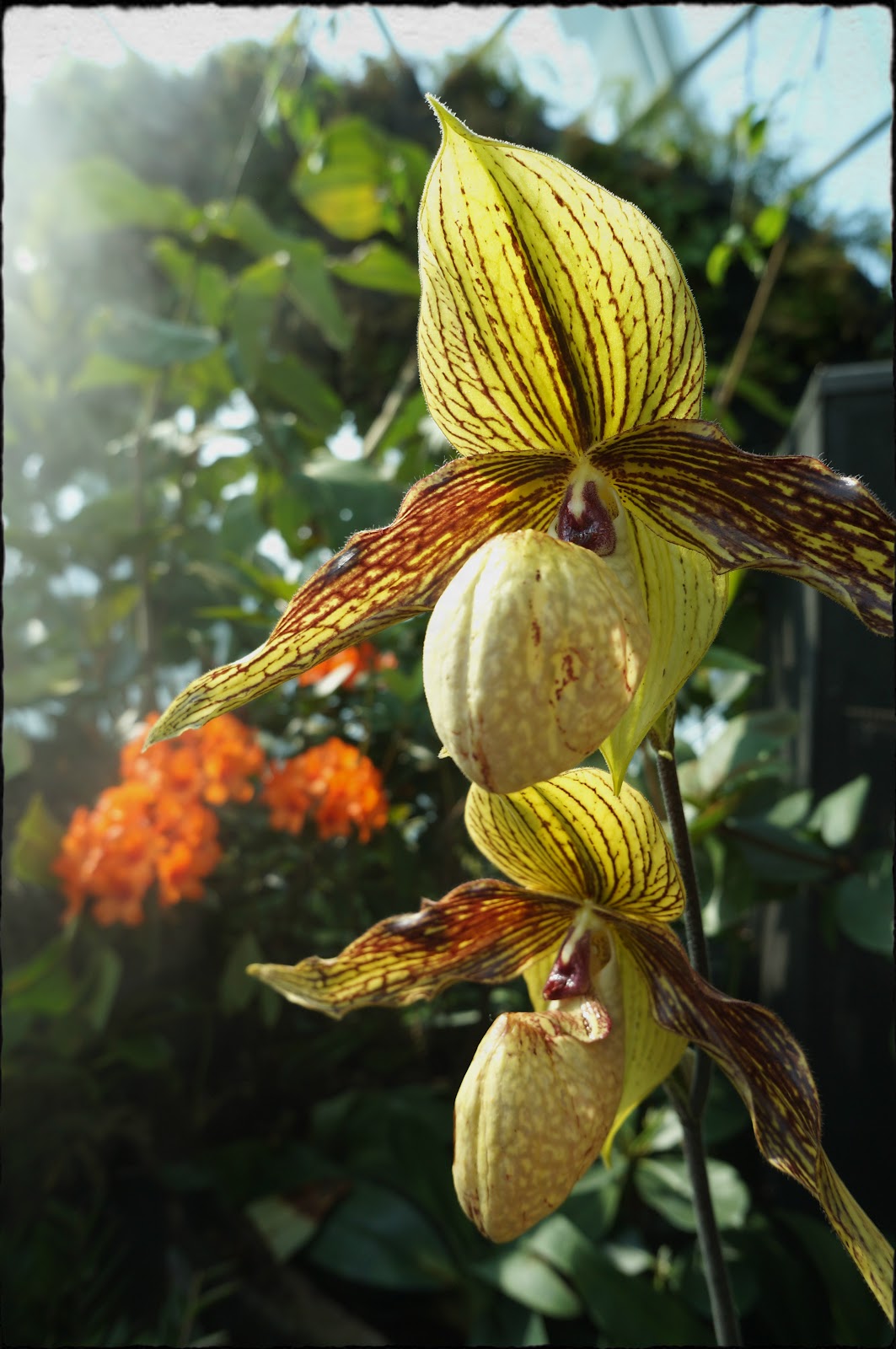 mishberries: Singapore Trip #1