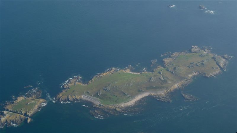Guernsey Gulls: Burhou, Alderney