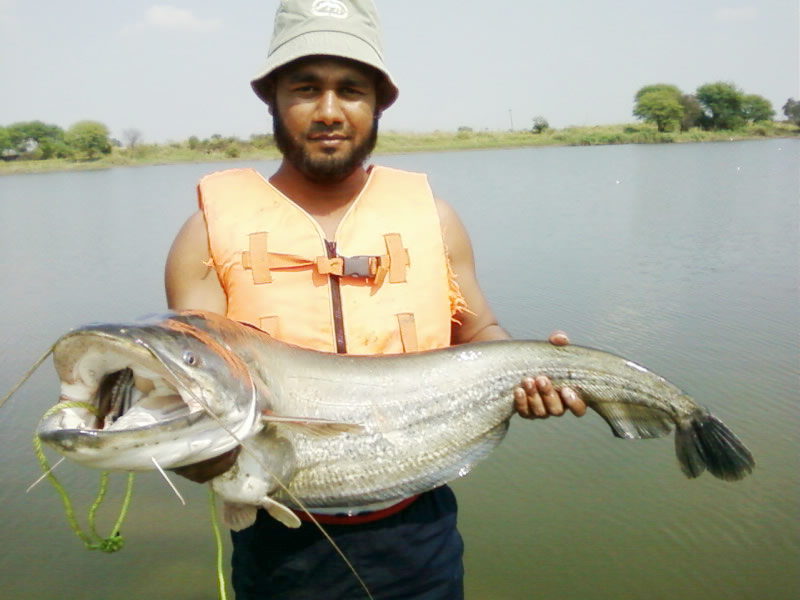 Deccan Angler-Latest fishing reports | Fishing trips | Fishing tackle ...