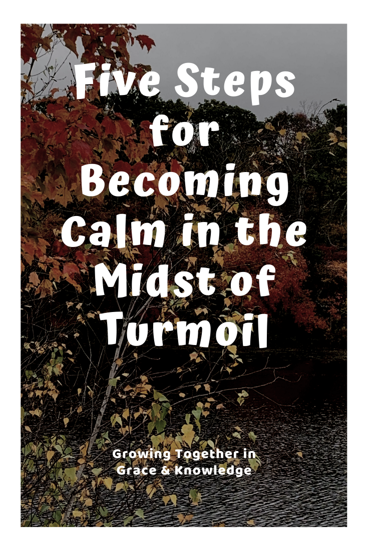 Five Steps for Becoming Calm in the Midst of Turmoil