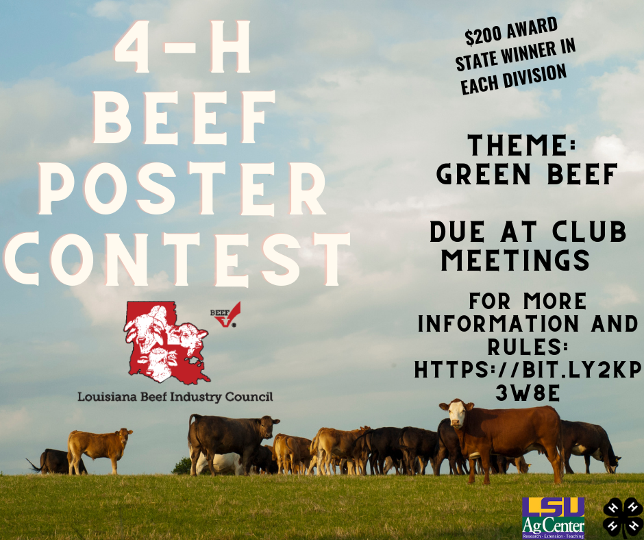 Mt. Hermon Web TV: Washington Parish 4-H LBIC Beef Poster Contest