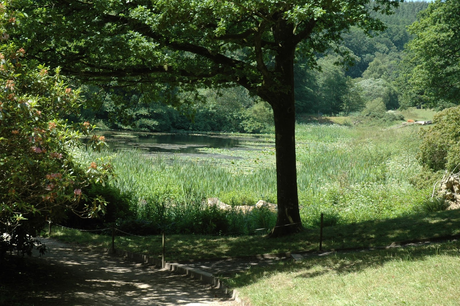 HAVETID: Engelske haver 2. del,