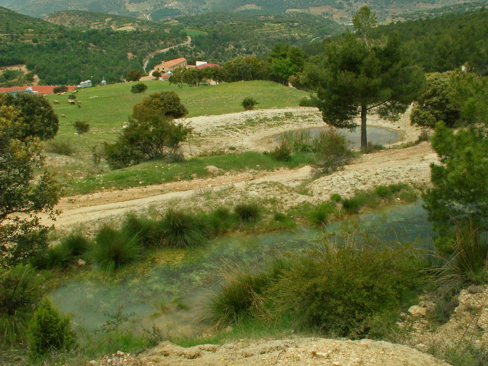 Adopta una Charca: Las charcas. Patrimonio cultural