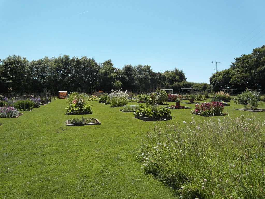 Niki Fretwell: Trevoole Farm