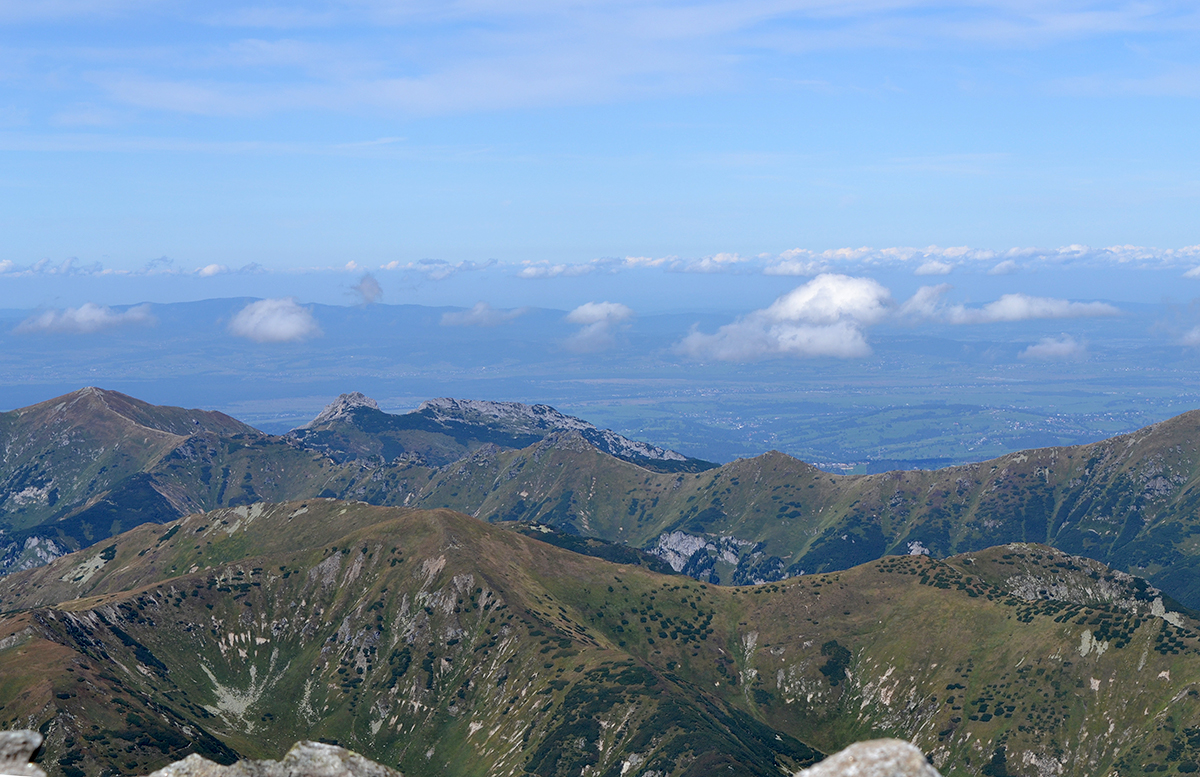 Cudowny Świat: Krywaniu, Krywaniu wysoki...