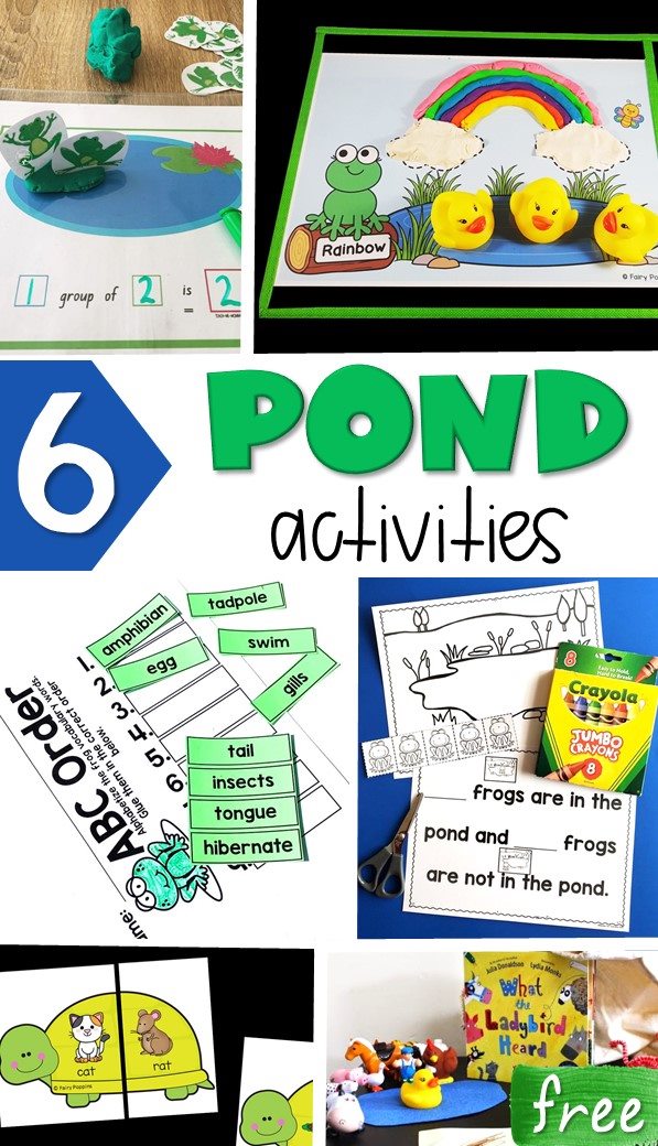 Frog Decomposing - Recipe for Teaching