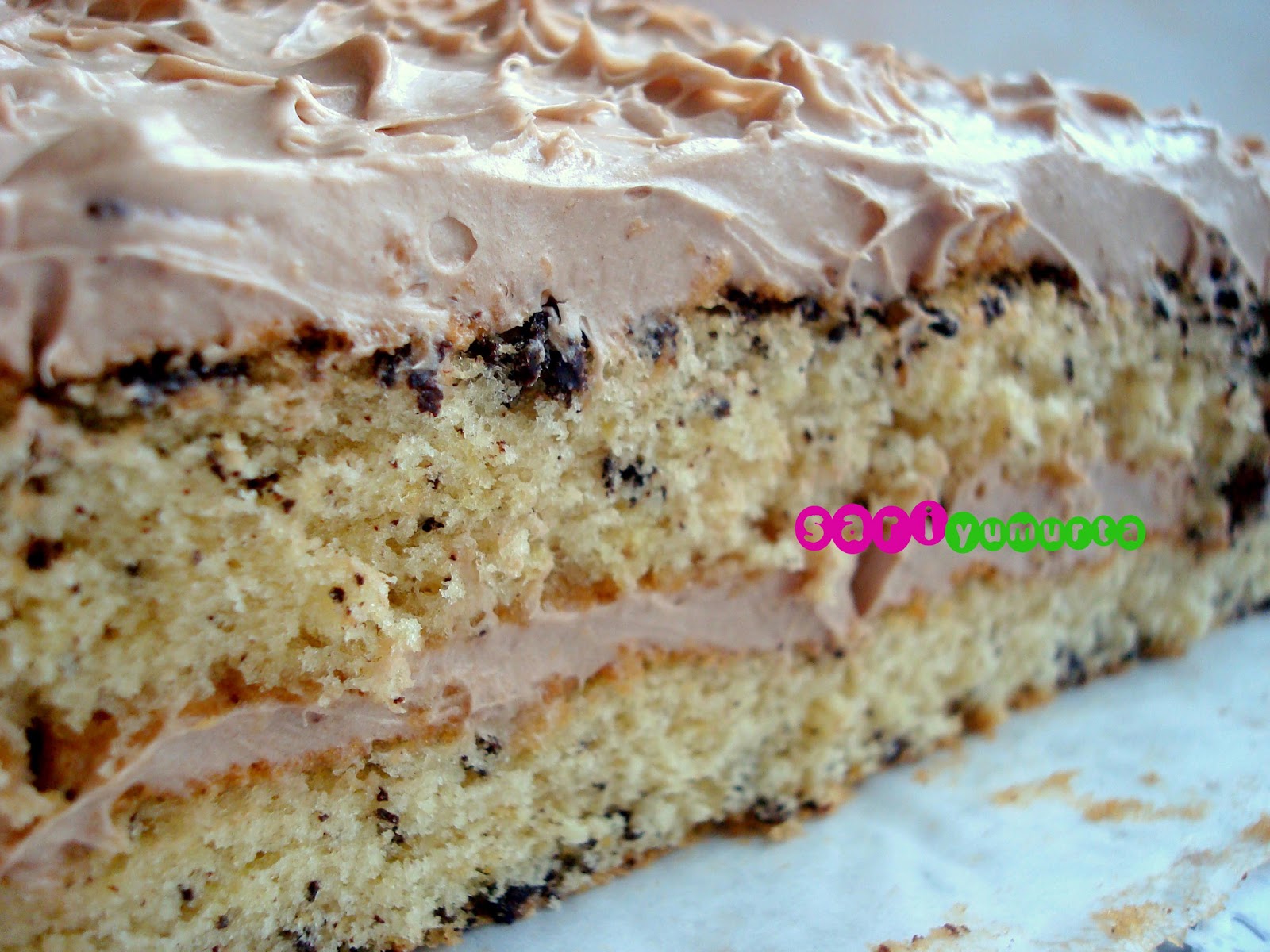 Yaş Pasta Tarifleri