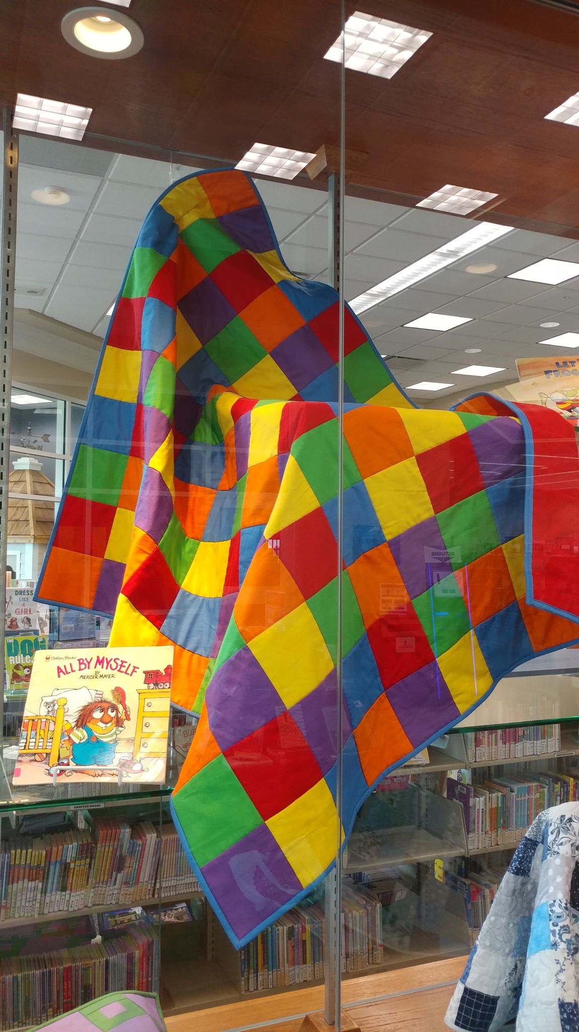 Slice of Pi Quilts: Quilts go to the library!