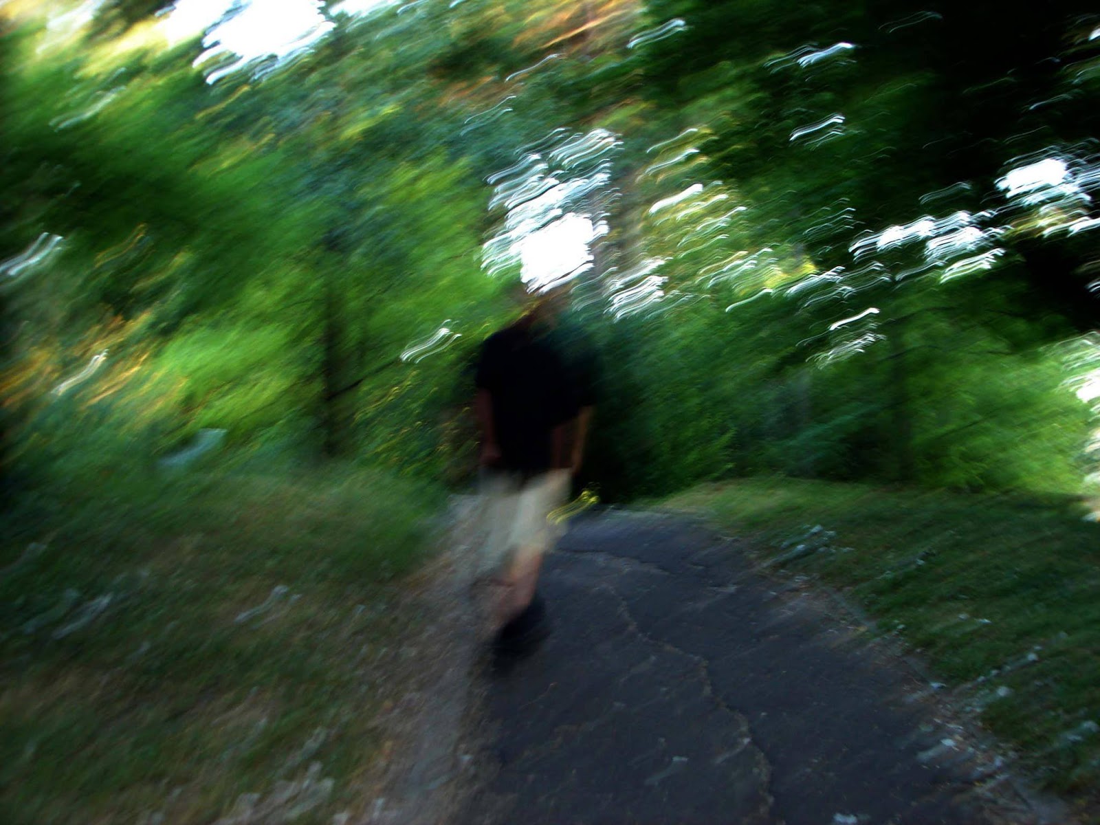 Pe urmele Marelui Șoșoi: Cine este Hezzer