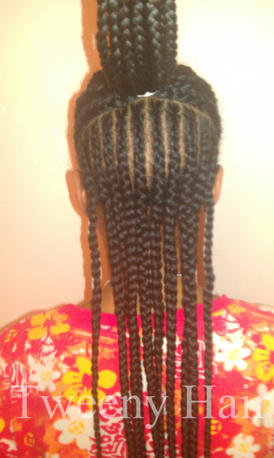 Tweeny Hair: Simple Cornrow Style: Half Up
