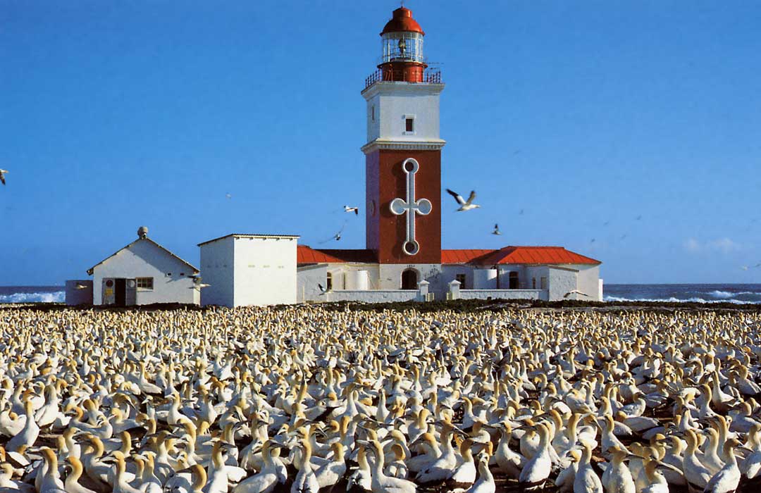 Mole's Genealogy Blog: Bird Island Lighthouse, off Port Elizabeth