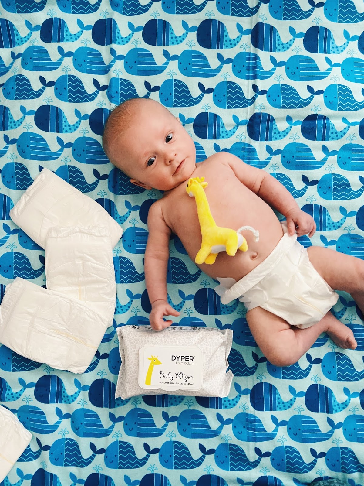 Sustainable diapering with Dyper... | : Green Chic Life
