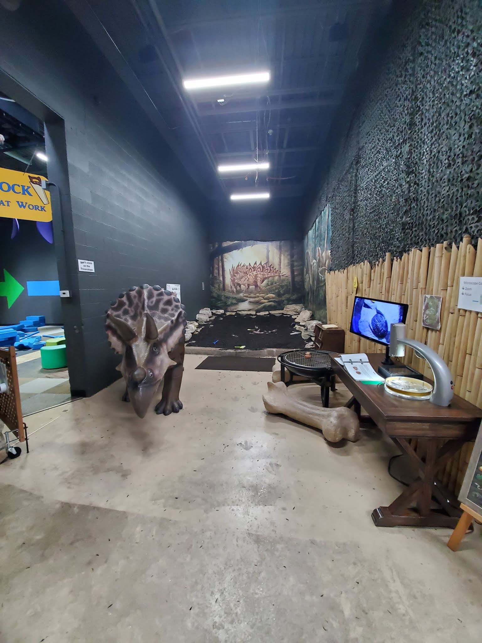 Play St. Louis: Myseum, Town and Country