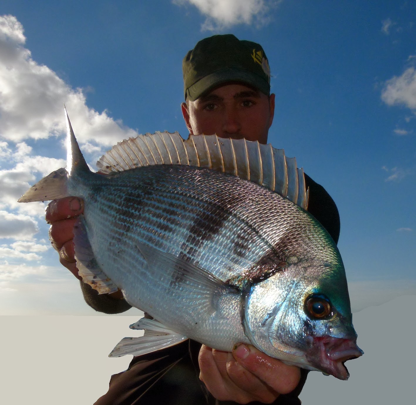 Machado SurfCasting: Chopa Navideña.