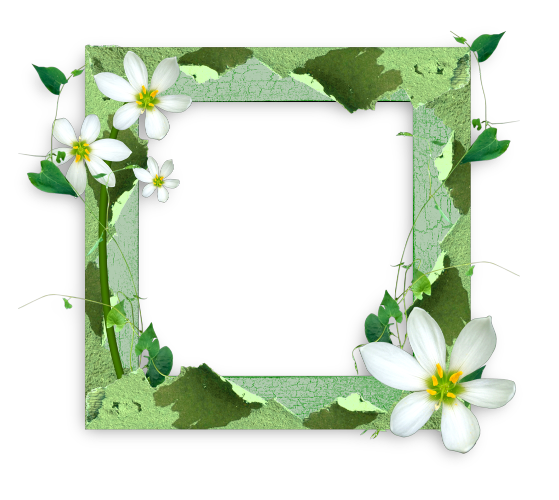 Marcos Para Fotos: Diseños De Marcos Para Fotos