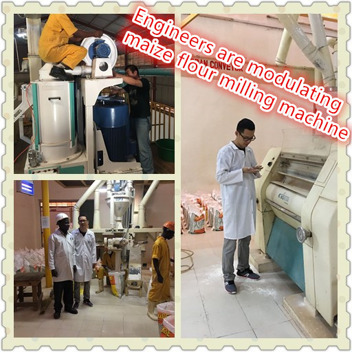 Top Flour Mill: 3T / H corn grinder machine installed and commissioned ...