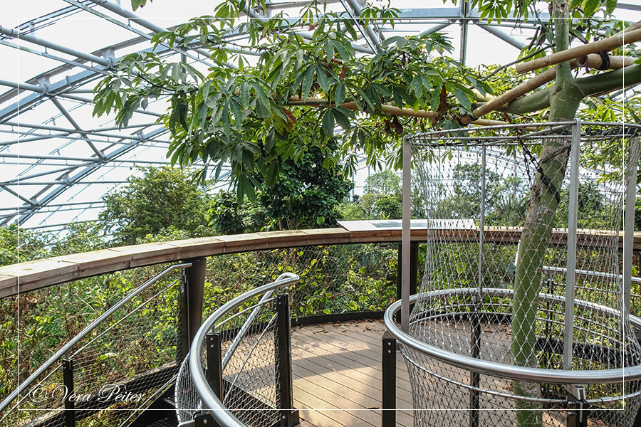 Artifactum ver@bilis Blog: Aussichtsturm # 7 Masoala-Halle