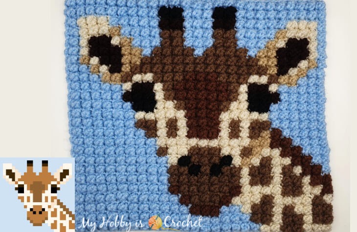 My Hobby Is Crochet: How to Crochet Graphs with the Bobble Single ...