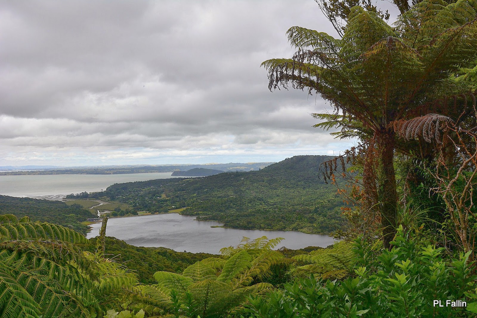 PL Fallin Photography: Manukau Harbour at Waitakere Range Park, New Zealand