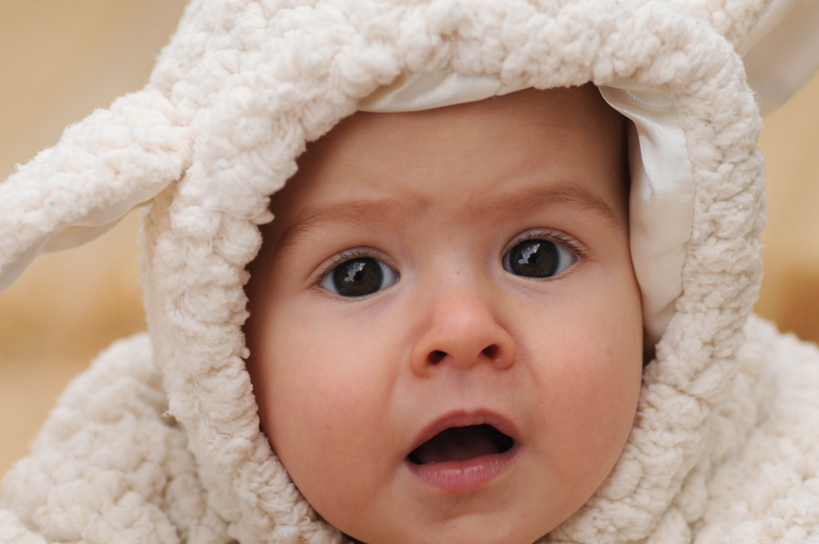 Petite Bebe Photography