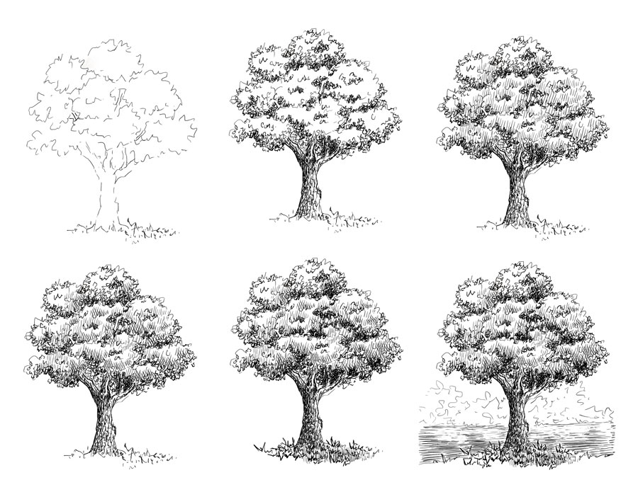 sbwatercolors and sketching: Practice with Trees - Different Methods of ...