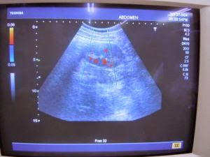 Hannan X-Ray & Ultra Sound Centre