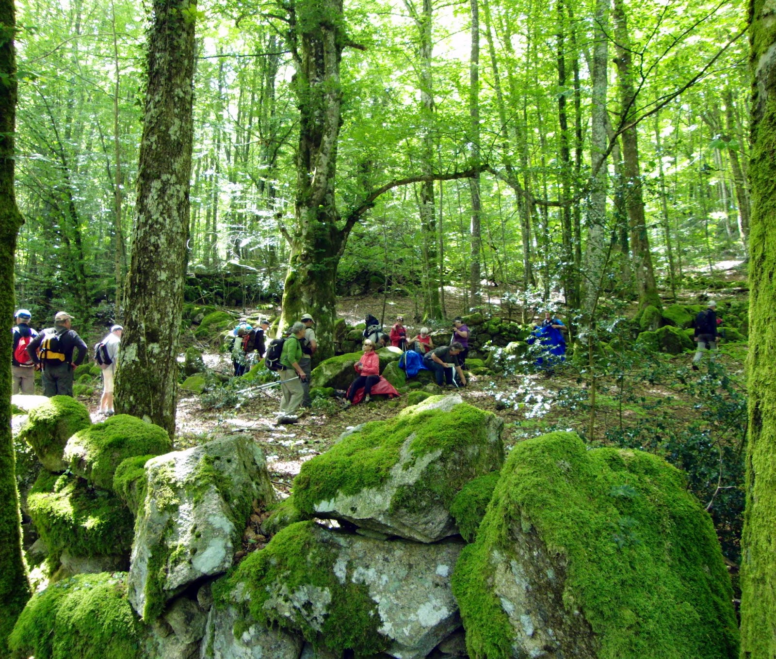VTT OLONZAC MINERVOIS: Les Esclops dans la forêt de Lamontélarié