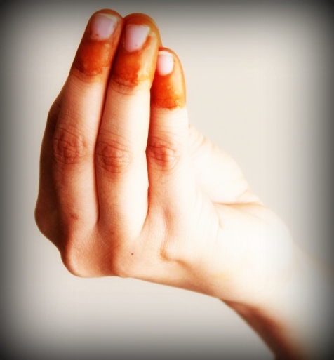 Mohiniyattam - The Enchanting Dance: MOHINIYATTAM HASTAS -Hand Gestures ...