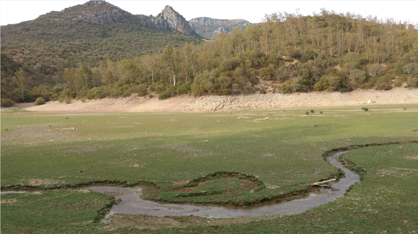 Ubrique en verde: Sorpresas en el pantano