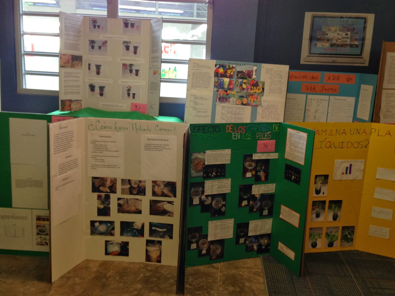 Biblioteca de la Escuela Alfredo Dorrington: Exhibicion de Proyectos de ... Biblioteca de la Escuela Alfredo Dorrington: Exhibicion de Proyectos de ...