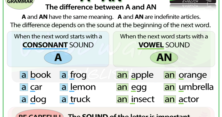 Notas de la Universidad: Articles A / An / The / No article