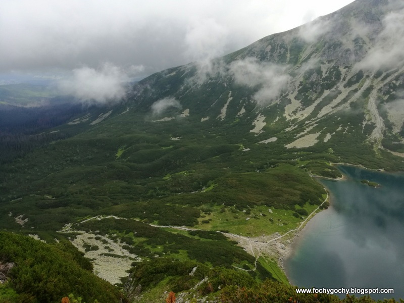 Kulinarne fochy Gochy