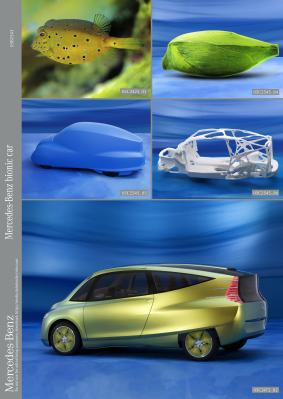 Bio-İnspired(Biomimetic) Design: Bio-Inspired (Biomimetic) Designs