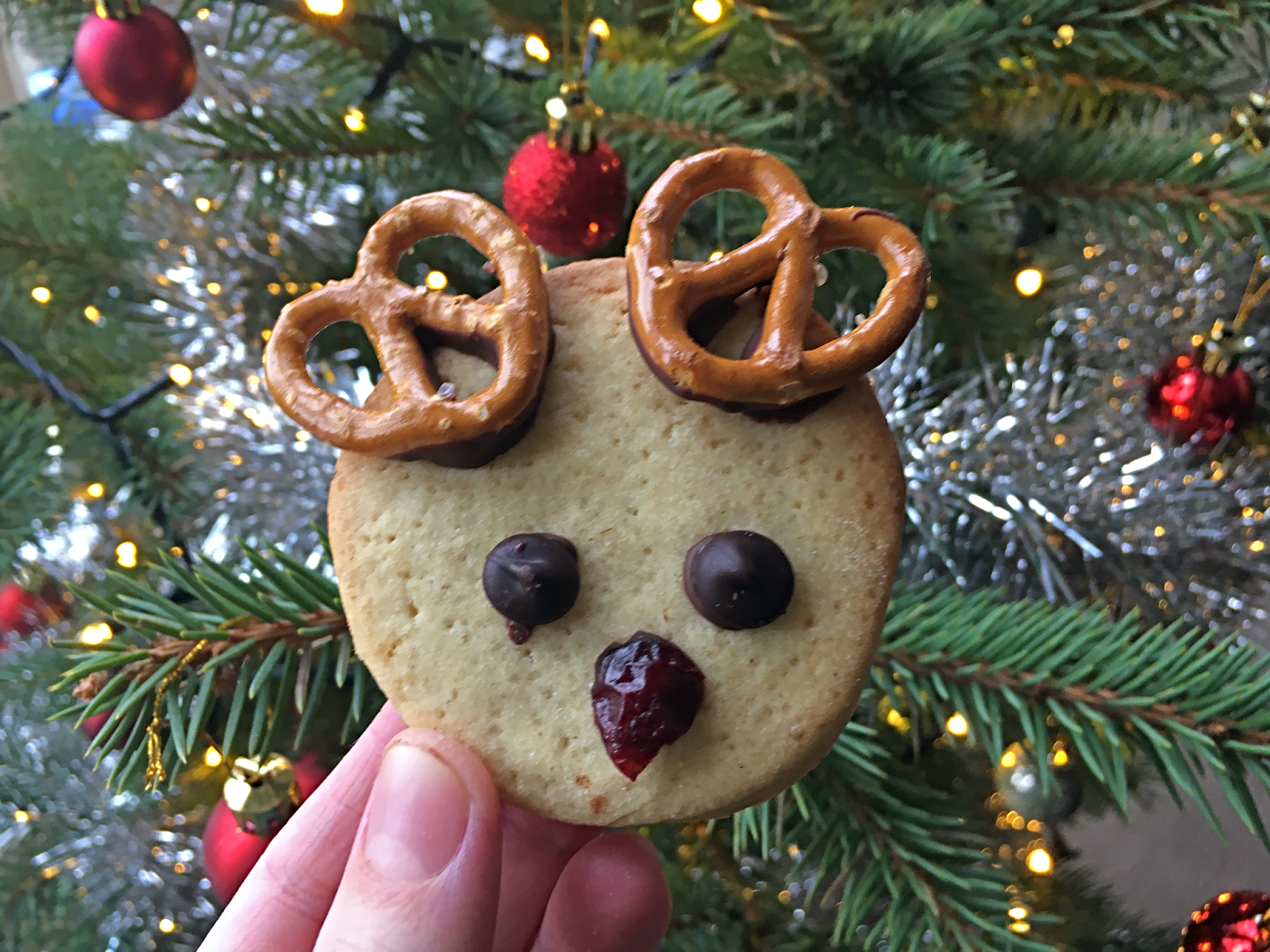 Christmas Reindeer Shortbread Biscuits (Vegan) | Susiechef