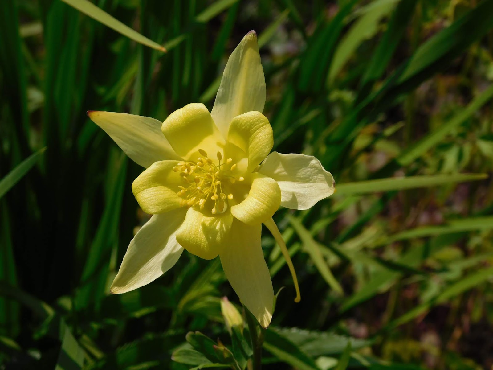 Photo Tour of Harkness Memorial Park