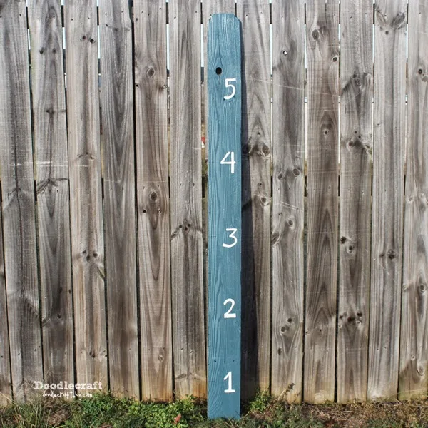 Growth Chart Ruler!